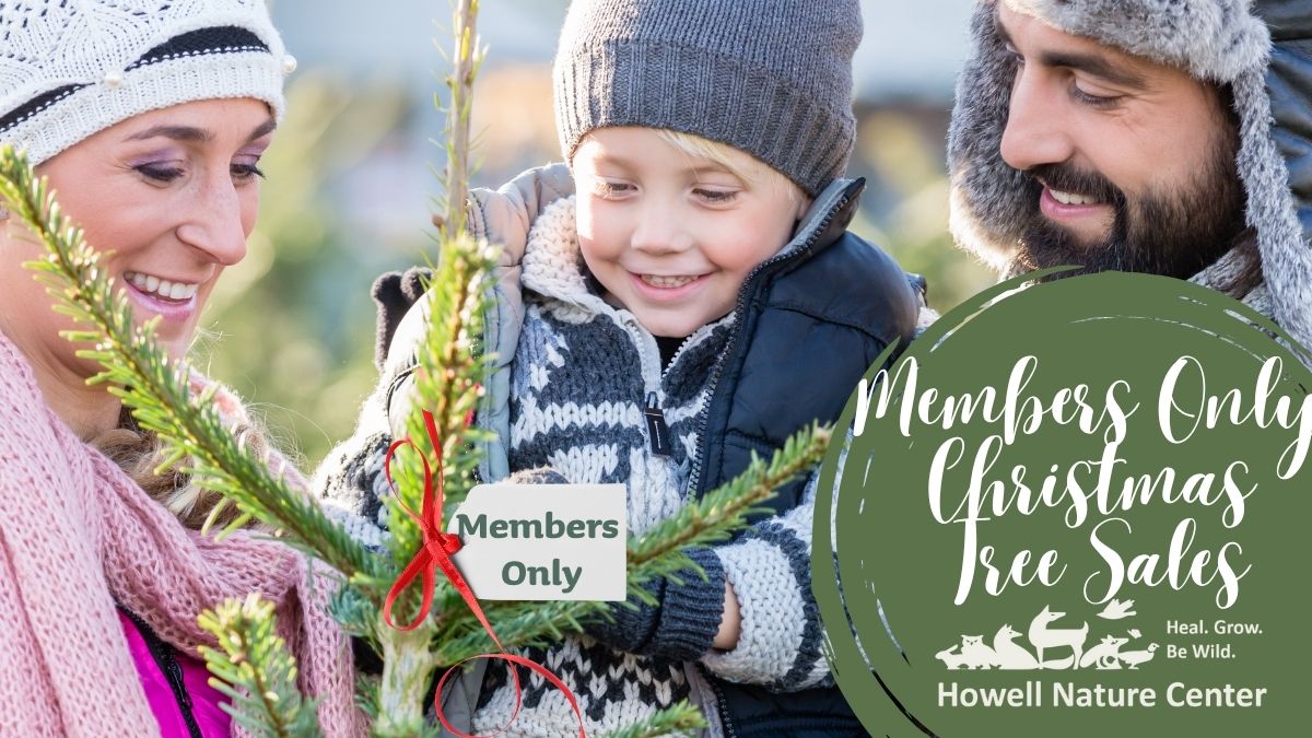 Members Only Early Christmas Tree Sale - Howell Nature Center